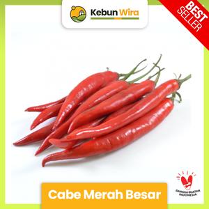 Jual Cabe Merah Besar | Red Chilli 1kg - Kab. Bogor - Kebun Wira ...