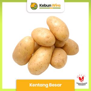 Jual Kentang Besar - Big Potato - 1 kg - Kab. Bogor - Kebun Wira ...