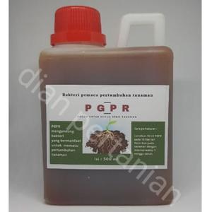 Jual BAKTERI PEMACU PERTUMBUHAN TANAMAN / PGPR (500 ml) pebkgo 9382ih ...