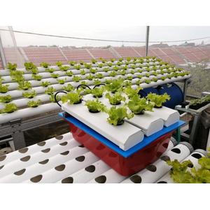 Jual Mini NFT kit 2 in 1 size big + pompa Instalasi hidroponik ...