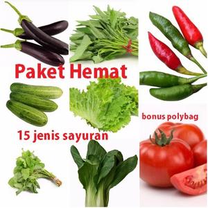 Jual PAKET HEMAT 15 JENIS BENIH SAYURAN (BONUS POLYBAG) - Kota Depok - Dew_Official store ...