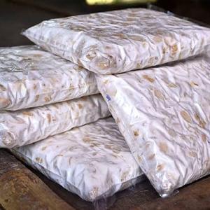 Jual Tempe bungkus plastik jumbo - Jakarta Utara - Aneka Sayuran Segar ...