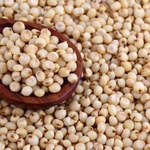 Jual BERAS SORGUM 1KG SORGHUM RICE UNTUK DIET DIABETES KETO DEBM MAAG ...