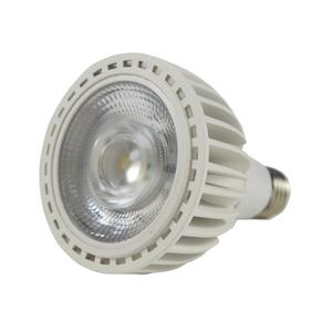 Jual SPOTPAR30 E27 30W 220V HILED LAMPU SPOT 30 WATT HILED - 3000K ...