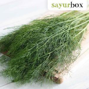 Jual Daun Dill 100 gram Sayurbox - Kab. Bogor - Sayurbox | Tokopedia