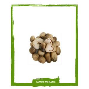 Jual BARU Jamur Merang Putih / Sayur Sayuran Segar - Kab. Gianyar ...