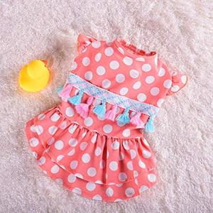 Jual Funny Dog Costume - Dog Bikini - Dog Swimsuits for Small Dogs ...