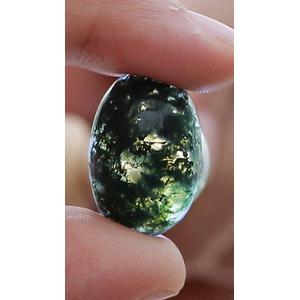 Jual BATU LUMUT SULIKI - Kota Tangerang - TRIZI-STORE | Tokopedia