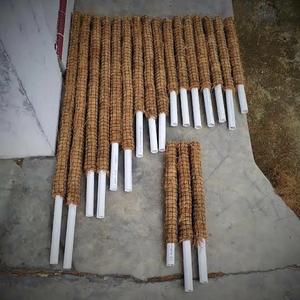 Jual Turus Ajir Tiang Penyangga Tanaman Ajir Bambu Tiang 80cm - Kota ...