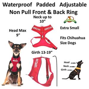 Jual Service Dog (Do Not Disturb/Dog is Working) Red Color(XS ...