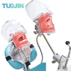 Jual Simple Head Model Dental Simulator Phantom Head for Dentist ...