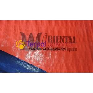 Jual Terpal Plastik A3 Ukuran 6x8 | Terpal 6x8 Tipe A3 - Jakarta Utara ...