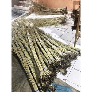 Jual Akar manon/Akar Mentau isi 100 Akar dekorasi panjang 120cm - 25 ...