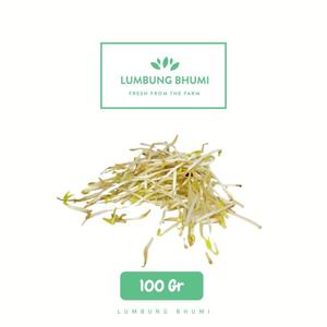 Jual Toge Tauge Besar Sayur 100 Gr - Lumbung Bhumi - Jakarta Barat ...