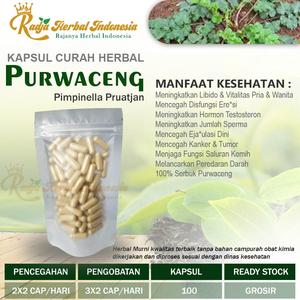Promo Kapsul Curah PURWACENG 600mg Libido Booster Herbal Jamu Kuat Pria ...