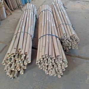 Jual Tongkat Bambu Polos Pramuka Lurus | Tiang Umbul Umbul Bendera ...
