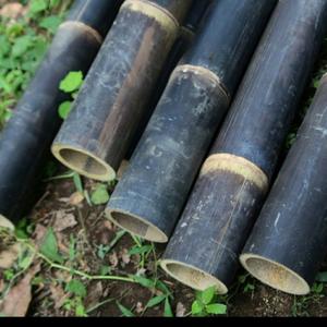 Jual Bisa COD Bambu Wulung/Bambu Hitam Besar Ukuran 50 cm - 30 cm ...