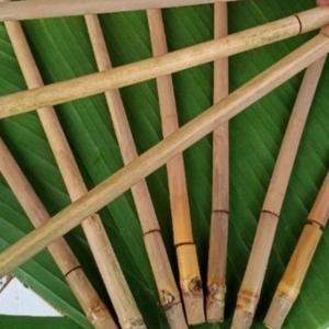 Jual tembakan atau peletokan bambu mainan anak,asli bambu - Kab. Bekasi ...