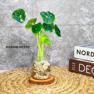 Promo 1 SET VAS BUNGA AESTHETIC TANAMAN AIR PLASTIK HIDROPONIK BD-150 ...