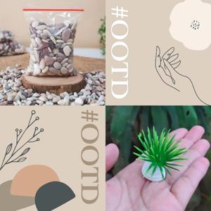 Jual AQUARIUM MINI KOTAK PERSEGI 12 CM / AKUARIUM CUPANG GUPPY - HIASAN ...