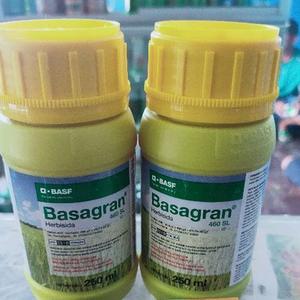 Jual Herbisida basagram 460 SL racun rumput - Kab. Bojonegoro ...