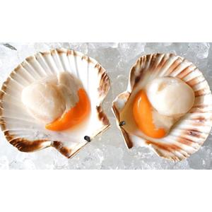 Jual Scallop Daging kerang Srimping Ukuran 80/100 - 500 gram - Kota ...