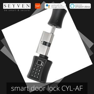 Jual Smart Lock Pintu Sliding Pintu Geser with APP Smart Door Lock ...