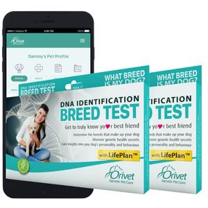 Promo 2 Pack Orivet Dog DNA Test | Dog Breed Test Kit, Genetic Testing ...