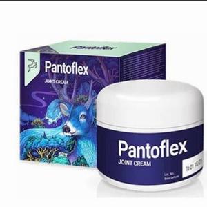 Jual Pantoflex Asli Obat Salep Oles Atasi Nyeri Sendi Otot Lutut Asam ...