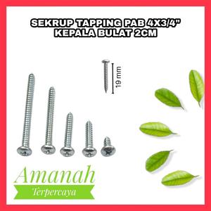 Jual SEKRUP TAPPING PAB 4X3/4" PUTIH SKRUP KEPALA BULAT 4 X 3/4 2CM ...