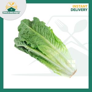 Jual Romaine - sayur segar (Foods bunker) - 250 gram - Kota Surabaya ...