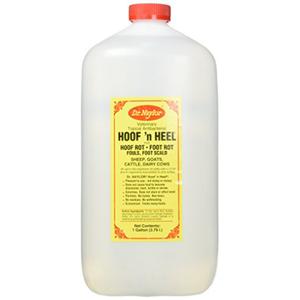 Jual Dr. Naylor Hoof n Heel (1 Gallon) - Traditional Foot Rot Treatment ...