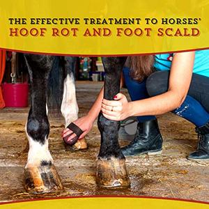 Jual Dr. Naylor Hoof N Heal, Hoof Rot Foot Rot Wound Care - Jakarta ...