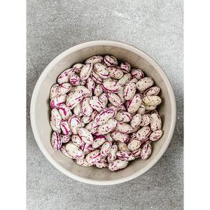 Jual UU 5 Gram Benih Biji Kacang Kranberi Borlotti Beans Bean Cranberry ...
