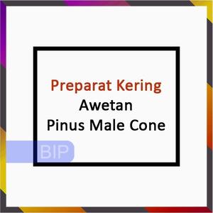 Jual PREPARAT KERING AWETAN PINUS MALE CONE - Kota Bogor ...
