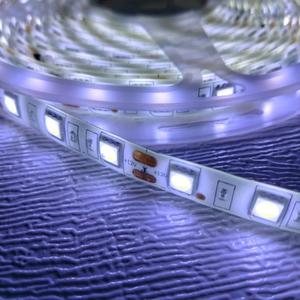 Jual LED Strip 5050 5M (60 Leds) IP65 12V Lampu Plafon Dekorasi 12 Volt ...