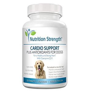 Promo Nutrition Strength Cardio Support for Dogs Plus Antioxidant Cicil ...