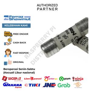 Jual FERRAZ SHAWMUT FR10GG50V2 CYLINDRICAL FUSE 10.3X38 2A - Jakarta ...