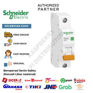 Jual Schneider NEW Series DOMAE MCB 20A 1Pole 6kA DOMF01120 - Jakarta Barat - Raspberry Pi ...