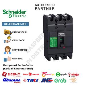 Jual Schneider EZC100H2025 MCCB TMD 25A 2 poles 2d - Jakarta Barat ...