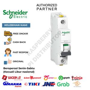 Jual Schneider IC60N - miniature circuit breaker - 1P - 6A - C A9F74106 ...