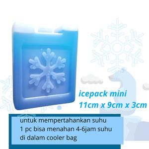 Jual icepack ice-pack cooler bag - penahan suhu - Jakarta Barat ...