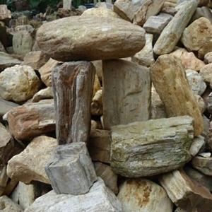 Jual Batu Fosil Fossil 1 kg Aquascape Aquarium Hiasan Akuarium Kayu ...