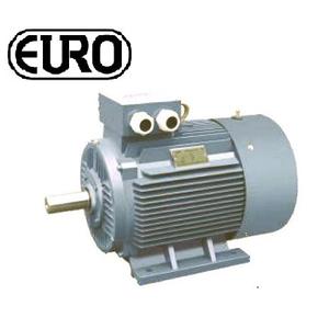 Jual AC MOTOR EURO 15KW, 4P, 380/660V, B3, IE1 (CAST IRON) - Jakarta ...