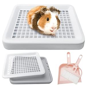 Promo Guinea Pig Toilet, Small Animal Potty Trainer Corner Cicil 0% 3x ...