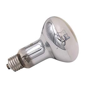 Jual Mega-Ray Mercury Vapor Bulb - 70 Watts - Smallest UV Vapor - Jakarta Utara - Pets USA ...