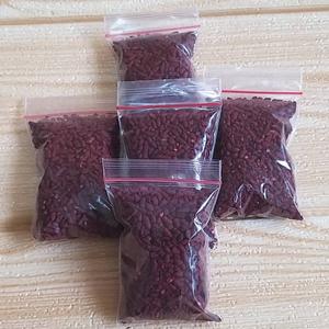Jual Angkak /Angkak Masak / Angkak Beras - Kota Surabaya - PrimaJaya St ...