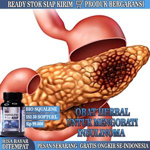 Jual 001 Obat Insulinoma Obat Tumor Di Pankreas Obat Herbal Benjolan Di ...