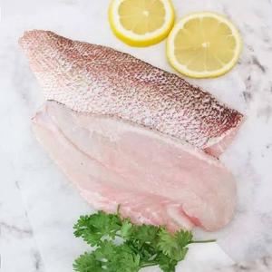 Jual ikan kakap merah super fillet per 500gr - Kota Tangerang Selatan ...