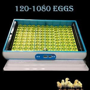 Jual TERBESAR 120 Egg Incubator Penetas Telur Otomatis Humidity Control ...